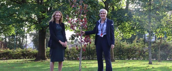 Welcome to Hethersett Academy